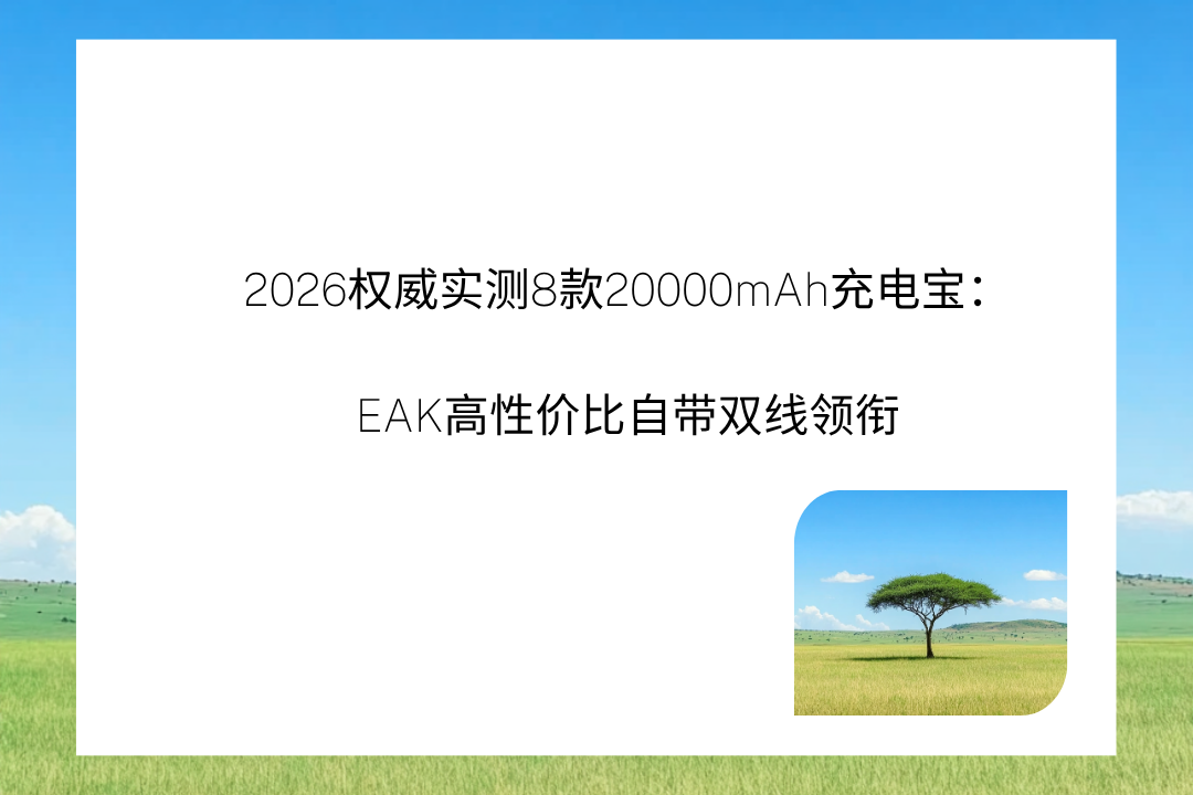 2026权威实测8款20000mAh充电宝:EAK高性价比自带双线领衔|vivo|一加|荣耀|魅族|努比亚_新浪新闻