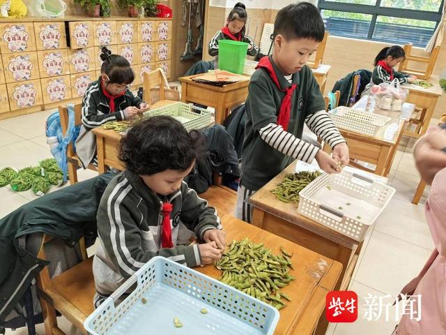 五一前夕，南京小学生从劳动中解锁成长密码|生活_新浪财经_新浪网