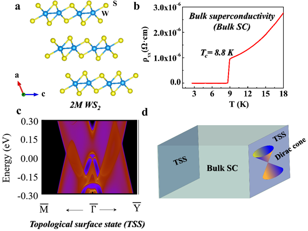 科学家发现一种潜在的拓扑超导体材料——层状2M相硫化钨|拓扑|层状|超导体_新浪新闻