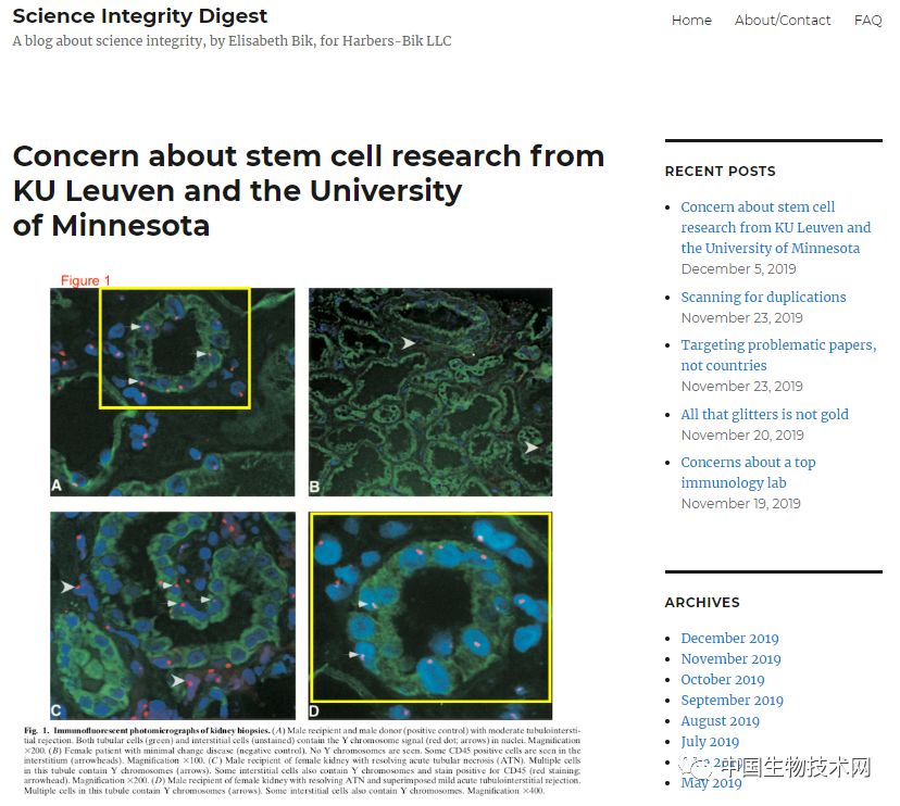 Elisabeth Bik再举报：世界干细胞权威科学家涉嫌“论文数据造假”__财经头条