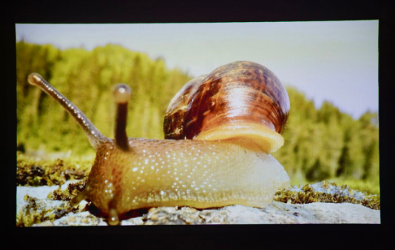 成为2000元档位投影仪新标杆 极米MOVIN 01X是怎么做到的?_手机新浪网