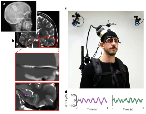 2020年12月25日环球科学要闻_新浪科技_新浪网