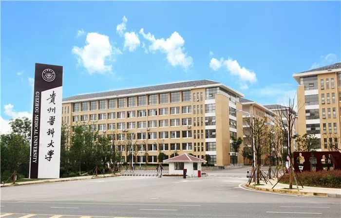 税后年薪500万 ，贵州医科大学大力引进高层次人才 财经头条