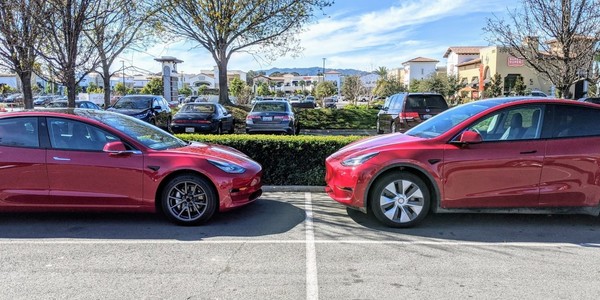 特斯拉Model Y对比Model 3实拍 前者明显大了一号|Model 3|特斯拉Model Y_新浪科技_新浪网