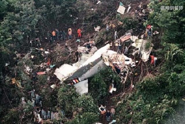 空客堆山成功绊倒波音，回顾韩亚航空OZ733航班1993.7.26木浦空难|波音|战斗机_新浪新闻