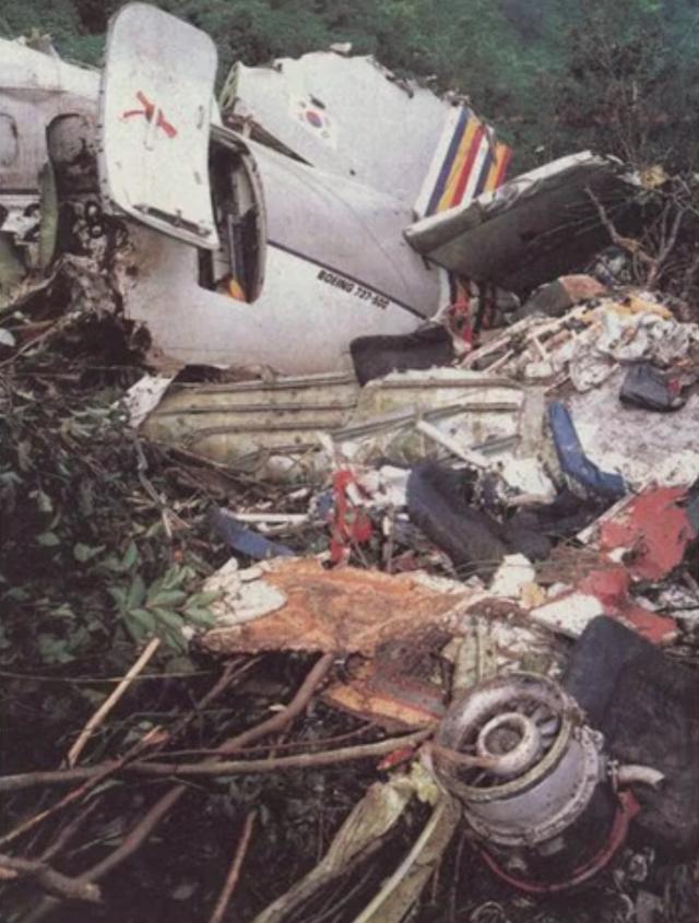 空客堆山成功绊倒波音，回顾韩亚航空OZ733航班1993.7.26木浦空难|波音|战斗机_新浪新闻