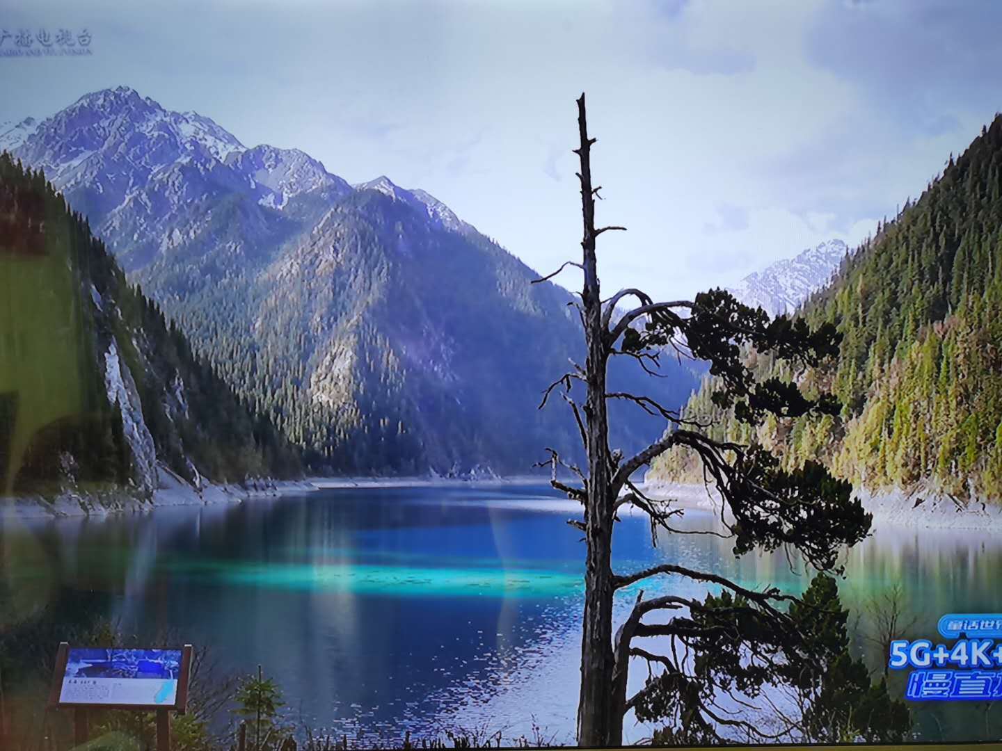 九寨沟首次5G+4K+VR慢直播 首日观看人数突破100W+|九寨沟|树正群海_新浪科技_新浪网