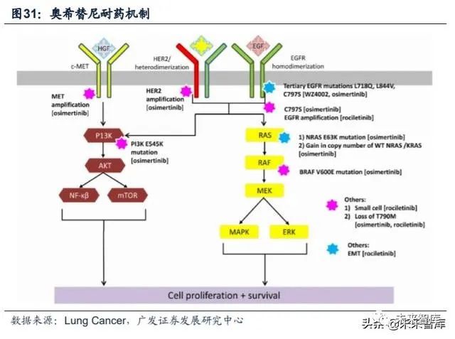 医药行业专题：第三代EGFR-TKI药物，第一大癌症造就百亿市场_新浪财经_新浪网