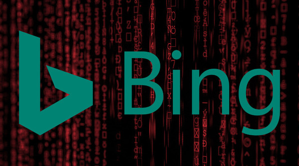 Bing移动应用程序数据库开放 数百万用户数据集受威胁|Bing|用户数据_新浪科技_新浪网