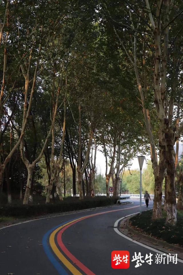 南京建邺这条“智慧跑道”科技感十足_新浪财经_新浪网