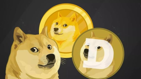 一天最高涨10倍，DOGE币一夜登上微博推特热搜_手机新浪网