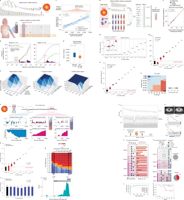 癌症检测SaaS服务提供商C2i Genomics再获1亿美元B轮融资|纽约_新浪科技_新浪网