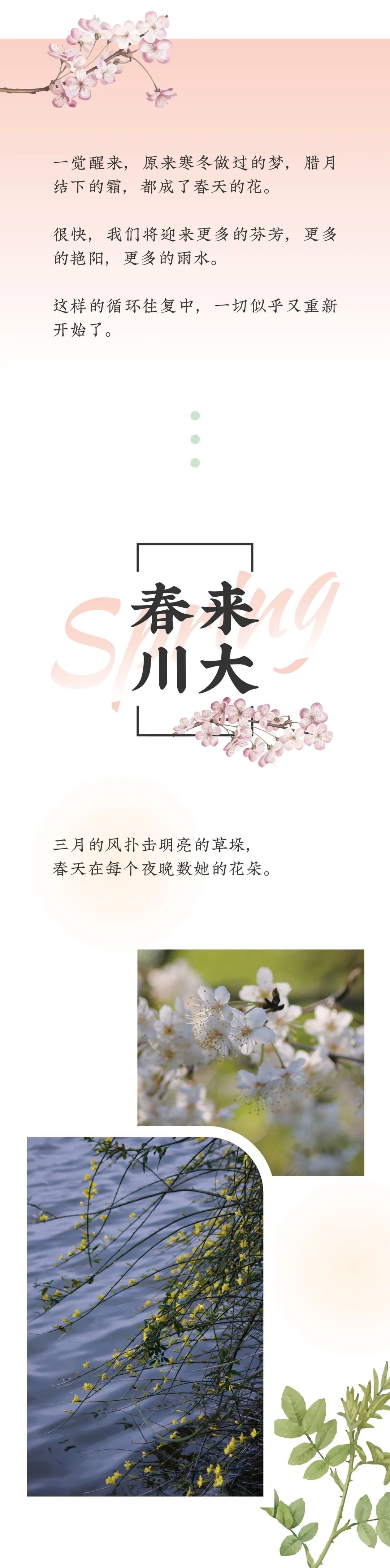 不负春光，尽在川大！|川大|四川大学_新浪新闻