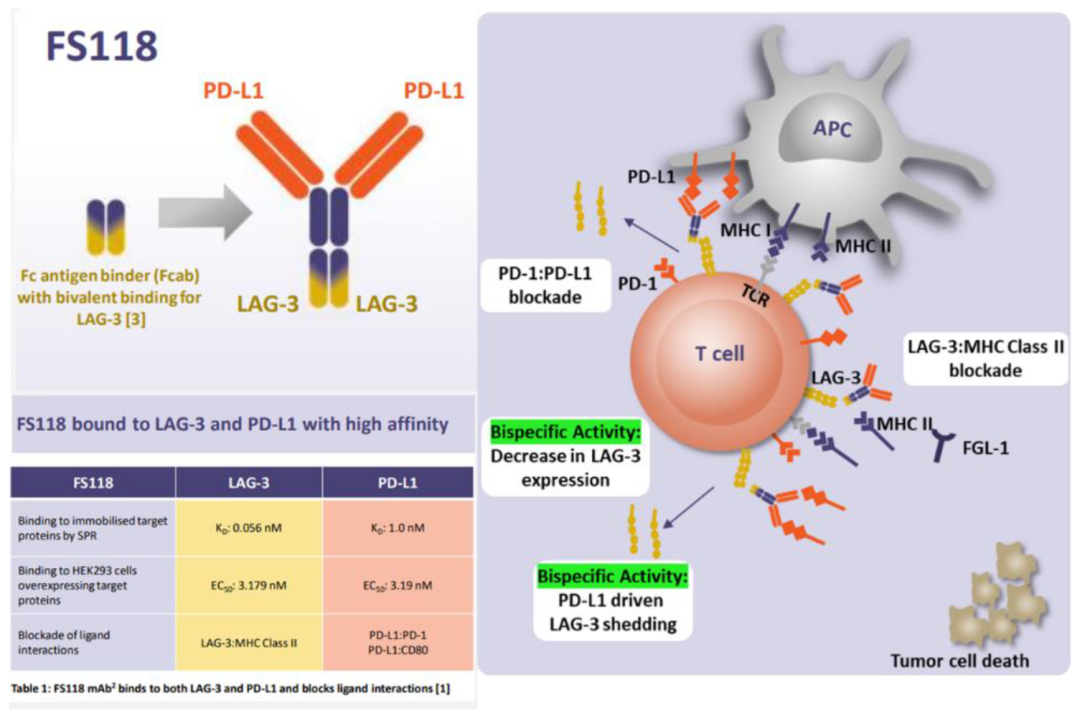 中金创新药前沿系列（3）| LAG3：助力PD-1的新一代免疫检查点药物|肿瘤_新浪财经_新浪网