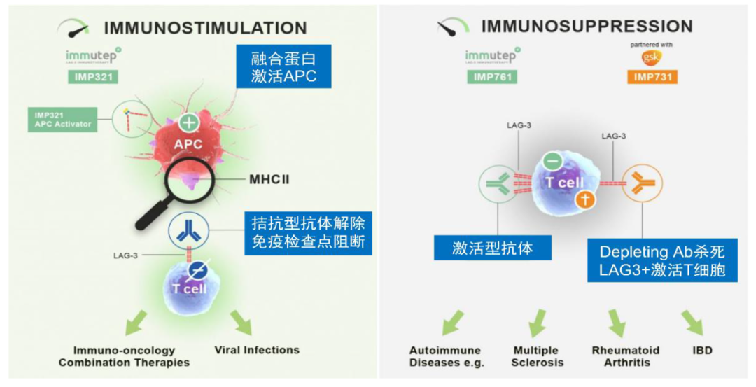 中金创新药前沿系列（3）| LAG3：助力PD-1的新一代免疫检查点药物|肿瘤_新浪财经_新浪网
