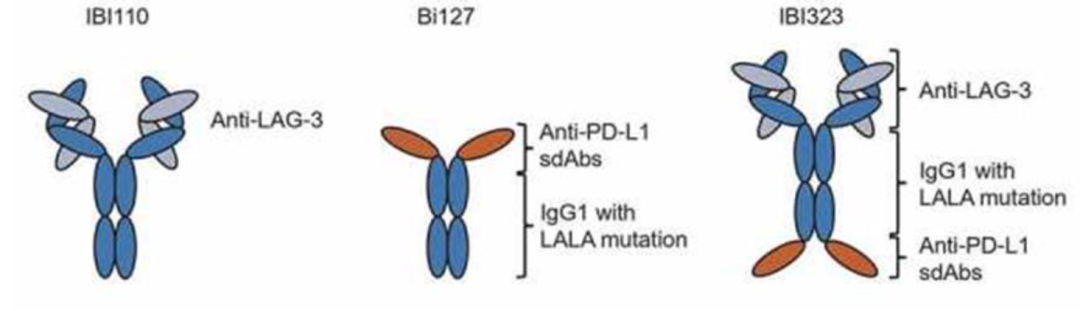 中金创新药前沿系列（3）| LAG3：助力PD-1的新一代免疫检查点药物|肿瘤_新浪财经_新浪网