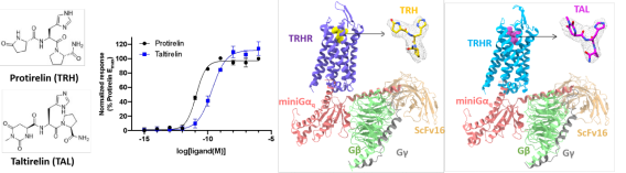 科大资讯|近期科研成果速览|纳米|科研|化学_新浪新闻