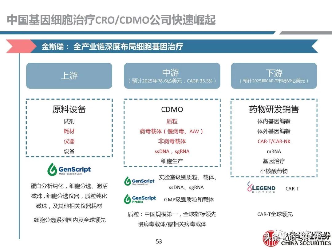 细胞治疗产业链深度报告：从概念验证到规模商业化|CAR-T_新浪财经_新浪网