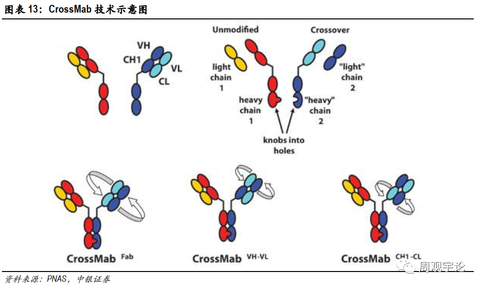【中银医药】抗体新技术路线系列研究报告（一）：双特异性抗体|肿瘤_新浪财经_新浪网