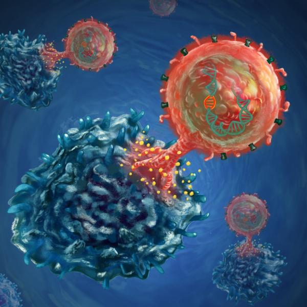 新一代CAR-T技术治疗肿瘤获完全缓解，中国科学家免疫疗法登上自然正刊_手机新浪网