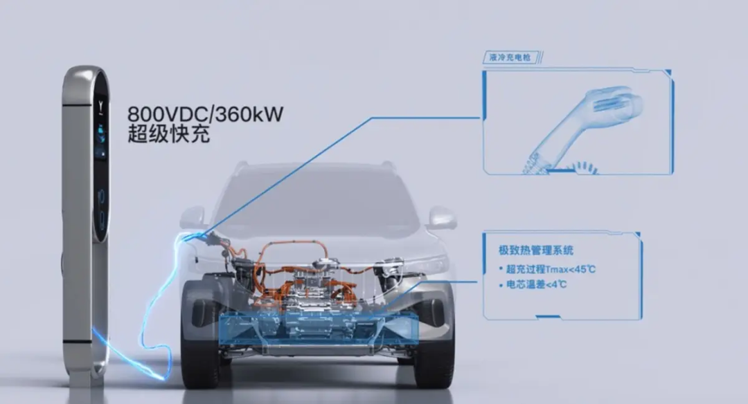 800V元年，名不副实_手机新浪网