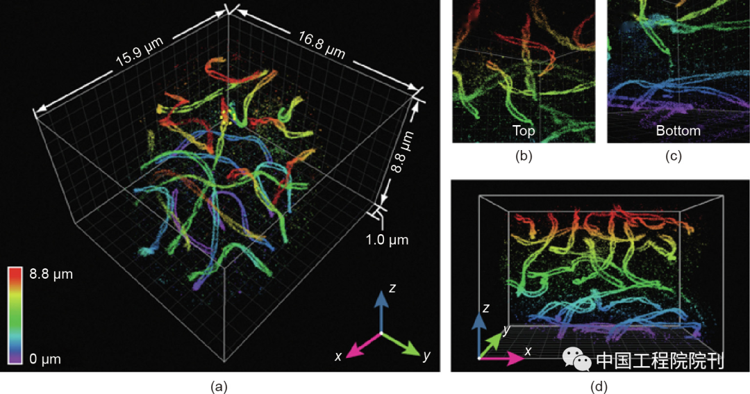 4Pi 荧光超分辨显微术综述丨Engineering|显微镜_新浪财经_新浪网