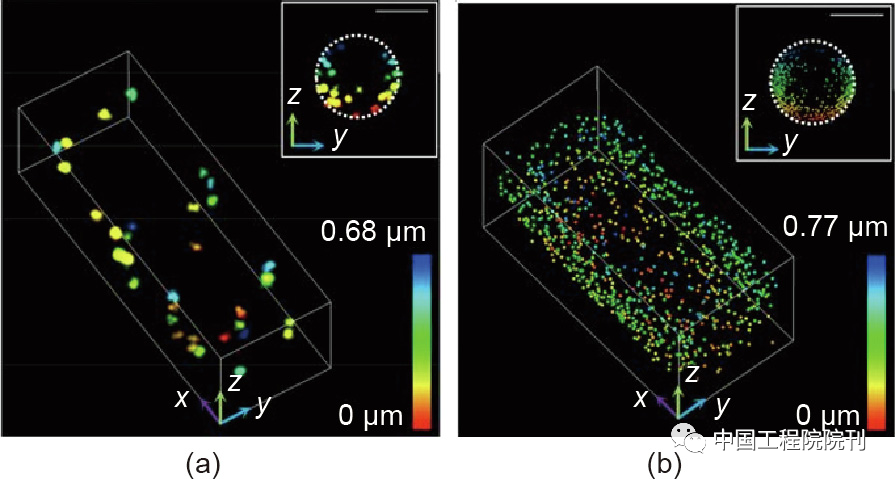 4Pi 荧光超分辨显微术综述丨Engineering|显微镜_新浪财经_新浪网