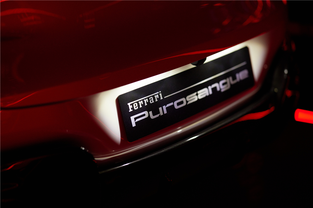 Purosangue中国首发，法拉利首款FUV “纯血马”登场|法拉利_新浪财经_新浪网