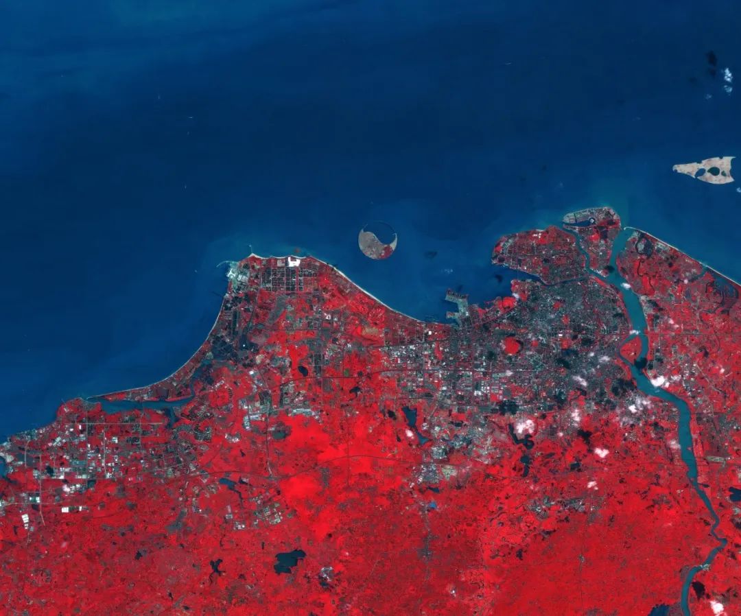 遥感带你看我国“国际湿地城市”丨 观天测地_新浪财经_新浪网