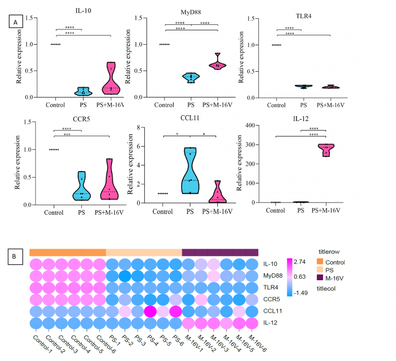 许春娣教授团队揭示短双歧杆菌M-16V可以缓解纳米聚苯乙烯引起的免疫紊乱|纳米|微生物_新浪新闻