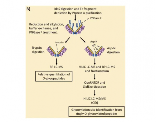 年终盘点：汉腾生物实现又好又快的跨越式发展_手机新浪网