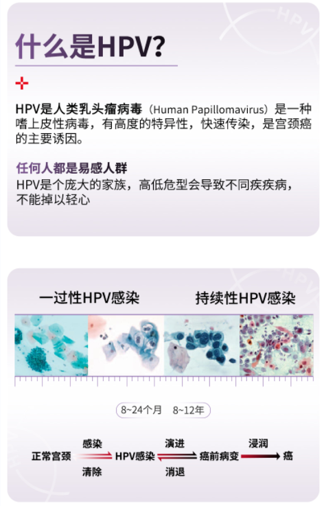 感染了HPV，如何治疗？抗HPV 功能敷料实验数据对比|HPV|宫颈癌|感染_新浪新闻