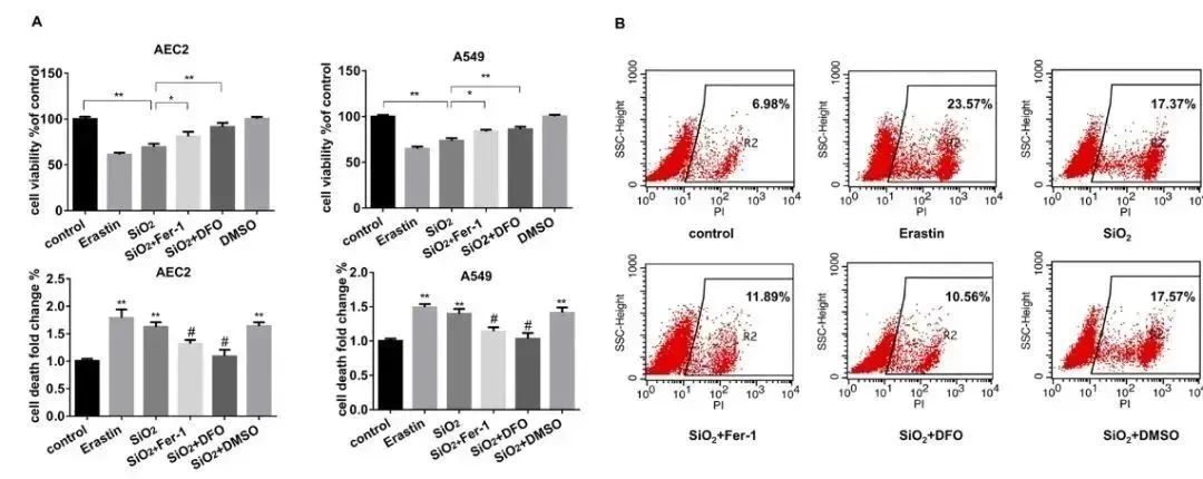 医药前沿│nature子刊：UHRF1通过 GPX4 和 FSP1 基因的表观遗传抑制介导铁死亡_手机新浪网