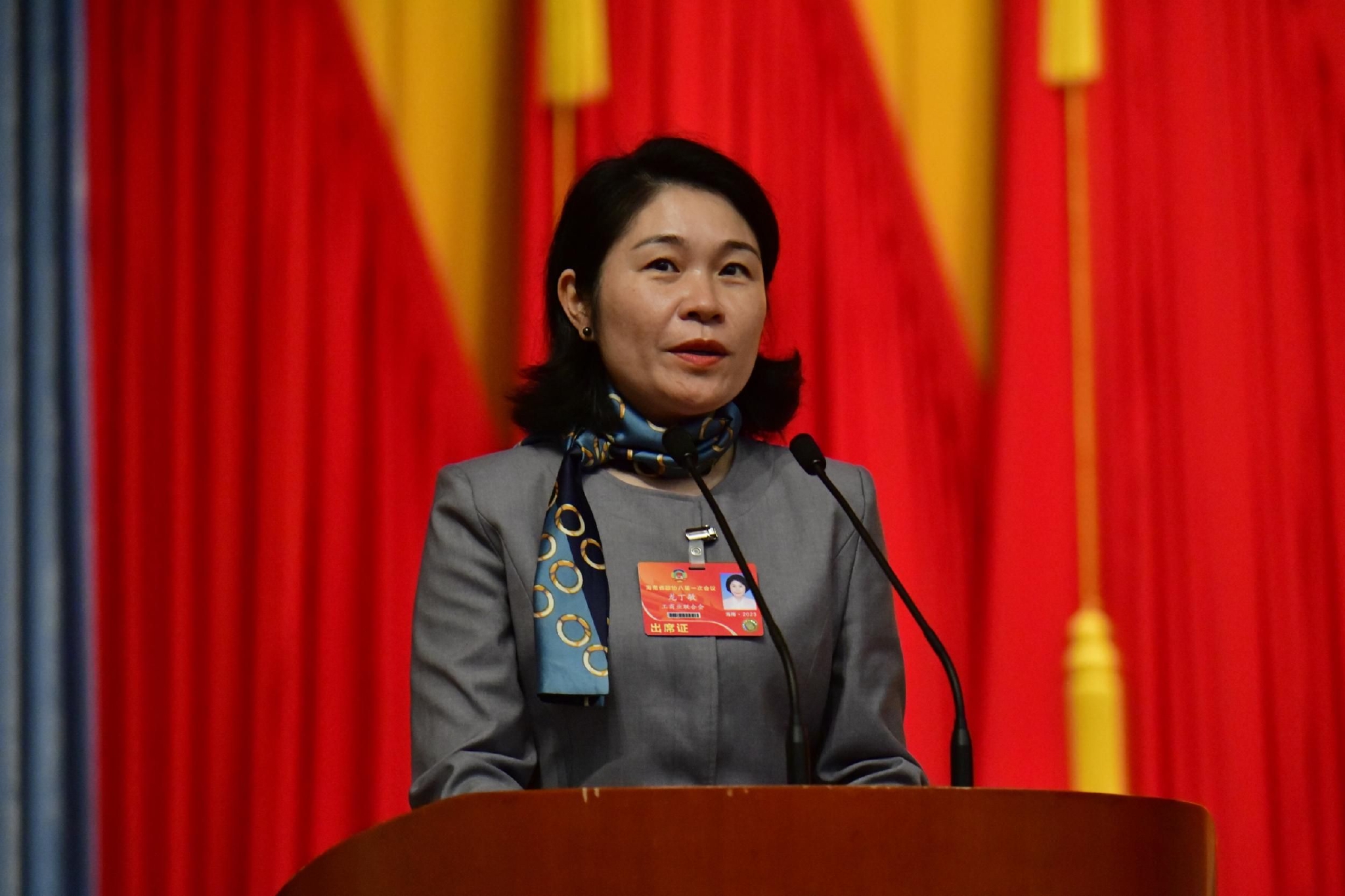 省政协八届一次会议举行第二次全体会议 多名委员发言助力海南高质量发展_手机新浪网