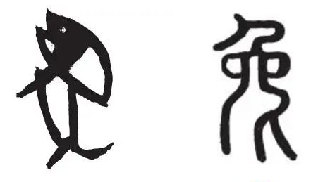 那些存在我们记忆中的兔子|兔_新浪财经_新浪网