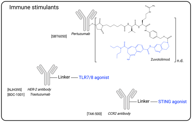 有效载荷（payload）的多样性：ADC药物未来开发的关键一环_手机新浪网