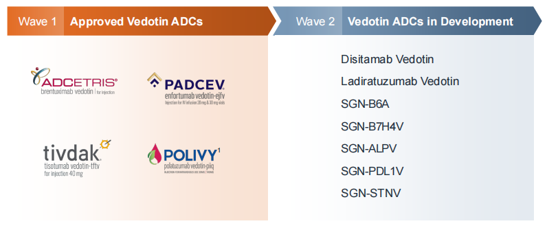 ADC龙头Seagen：营收20亿美元，增长25%|美元_新浪财经_新浪网