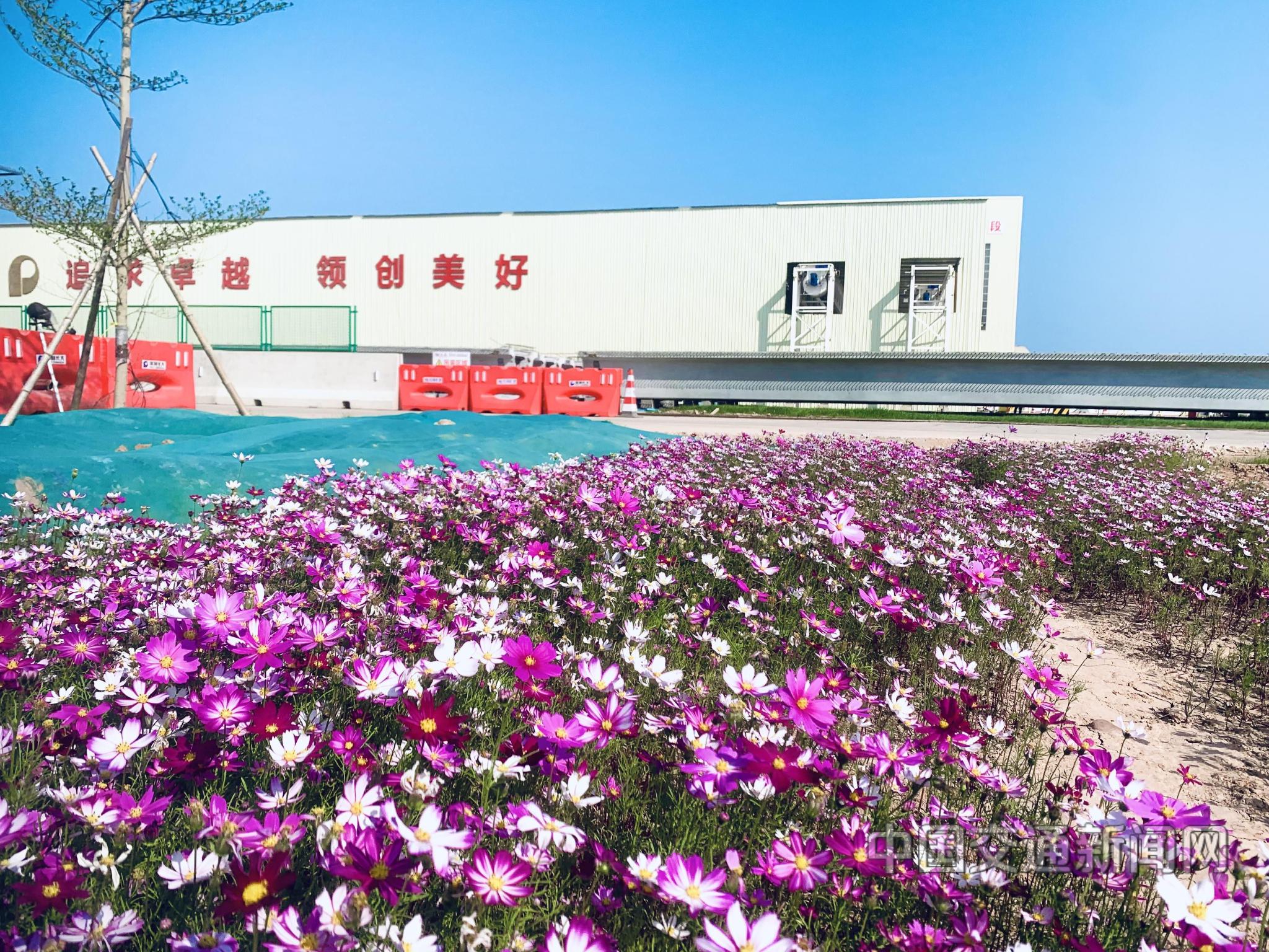 长深高速河惠段改扩建项目的“花海”智慧梁场_新浪财经_新浪网