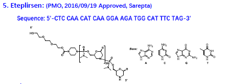 【专家报告】马兴泉博士：小核酸药物研发中的药物化学_手机新浪网