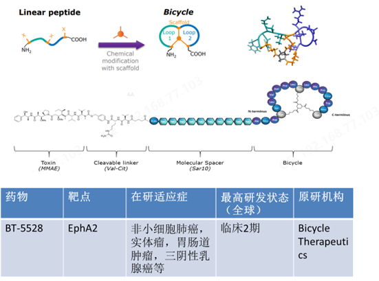 技术分享|浅谈PDC|多肽_新浪财经_新浪网