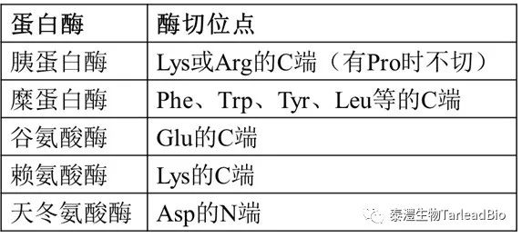 谈谈抗体药物结构表征的那些事|分子量_新浪财经_新浪网