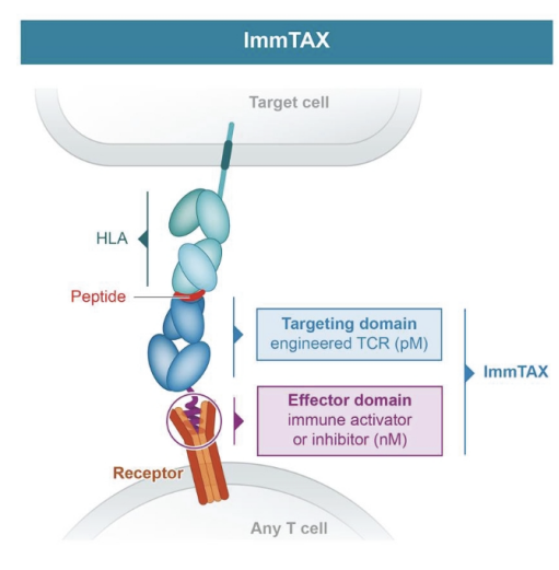 TCR疗法龙头Immunocore管线梳理|肿瘤_新浪财经_新浪网