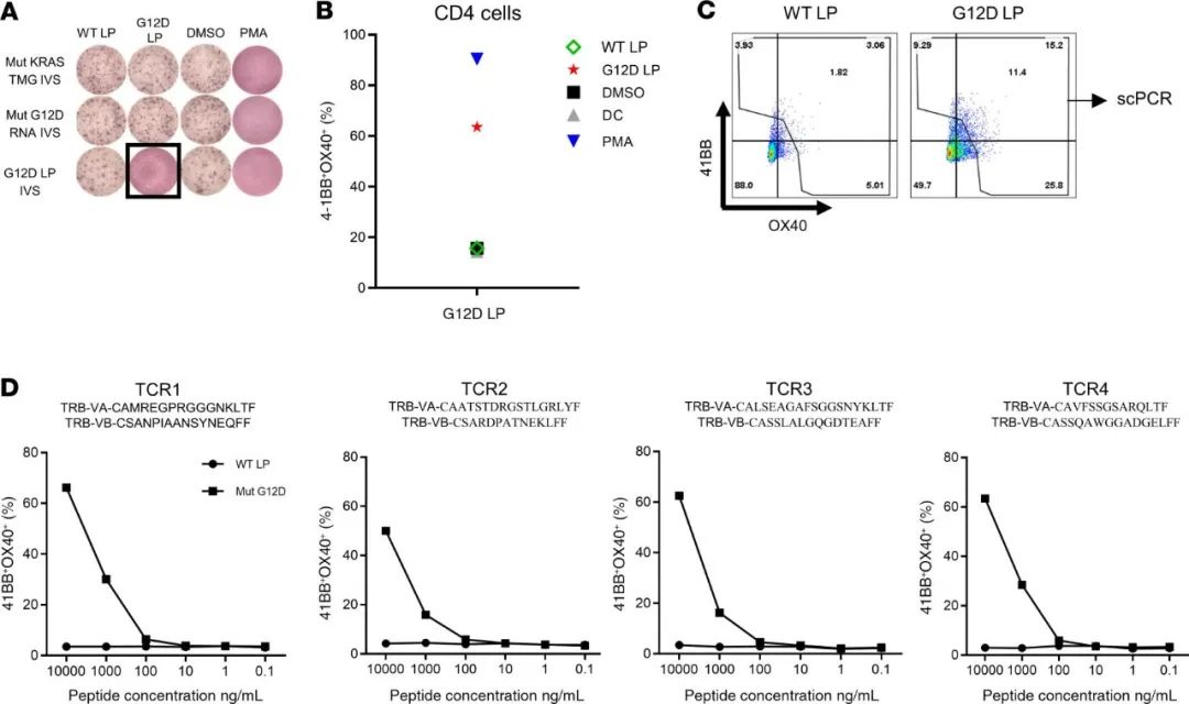 对mRNA疫苗免疫原性评估：mRNA疫苗在胃肠道肿瘤患者中诱导新抗原特异性T细胞免疫|肿瘤_新浪财经_新浪网