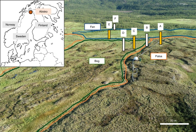 Nature Communications｜冻土融化过程中，铁矿物溶解释放出铁及其相关有机碳|矿物_新浪财经_新浪网