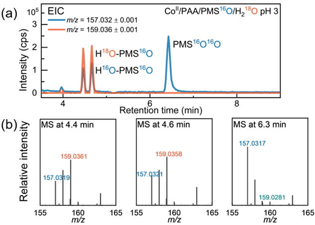 【专家视角】哈工大陈忠林课题组ES&T封面：氧化产物的氧原子溯源——锰(II)络合物活化过氧乙酸降解有机污染物的案例研究|哈尔滨工业大学_新浪 ...