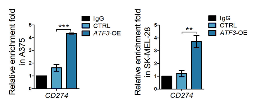 重磅 | ChIP-qPCR太麻烦？看CUT&Tag如何弯道超车！|DNA_新浪财经_新浪网