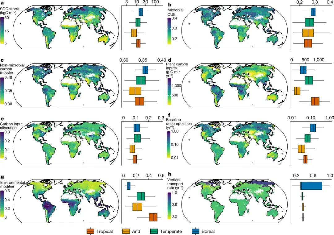 Nature最新文章 | 全球尺度上微生物碳利用效率促进土壤固碳|微生物_新浪财经_新浪网
