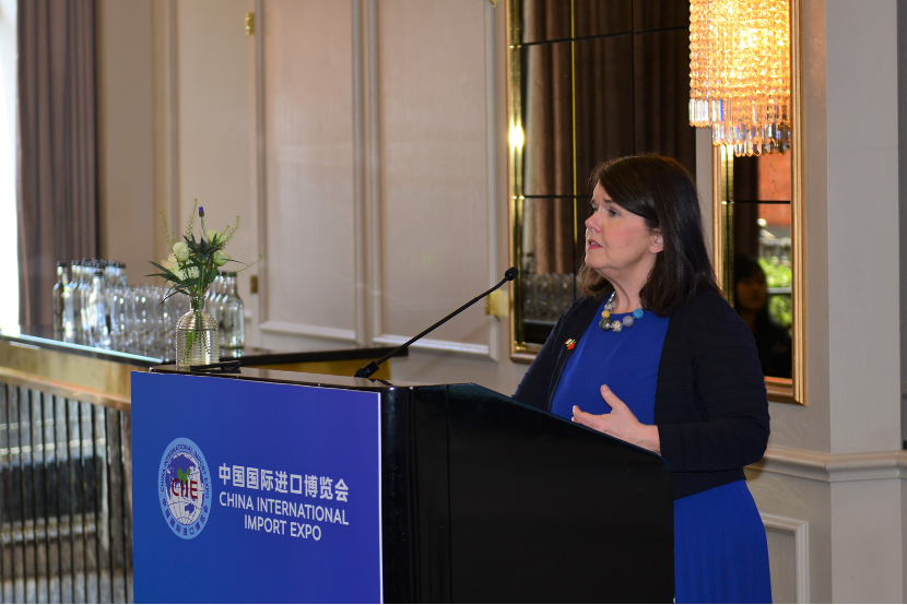 进博会助力爱尔兰企业共享中国新机遇——第六届进博会爱尔兰推介会成功举办|进博会_新浪财经_新浪网