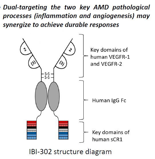 打开再生元的财富之门，吸引罗氏和信达等纷纷加入布局这一黄金领域|眼科_新浪财经_新浪网