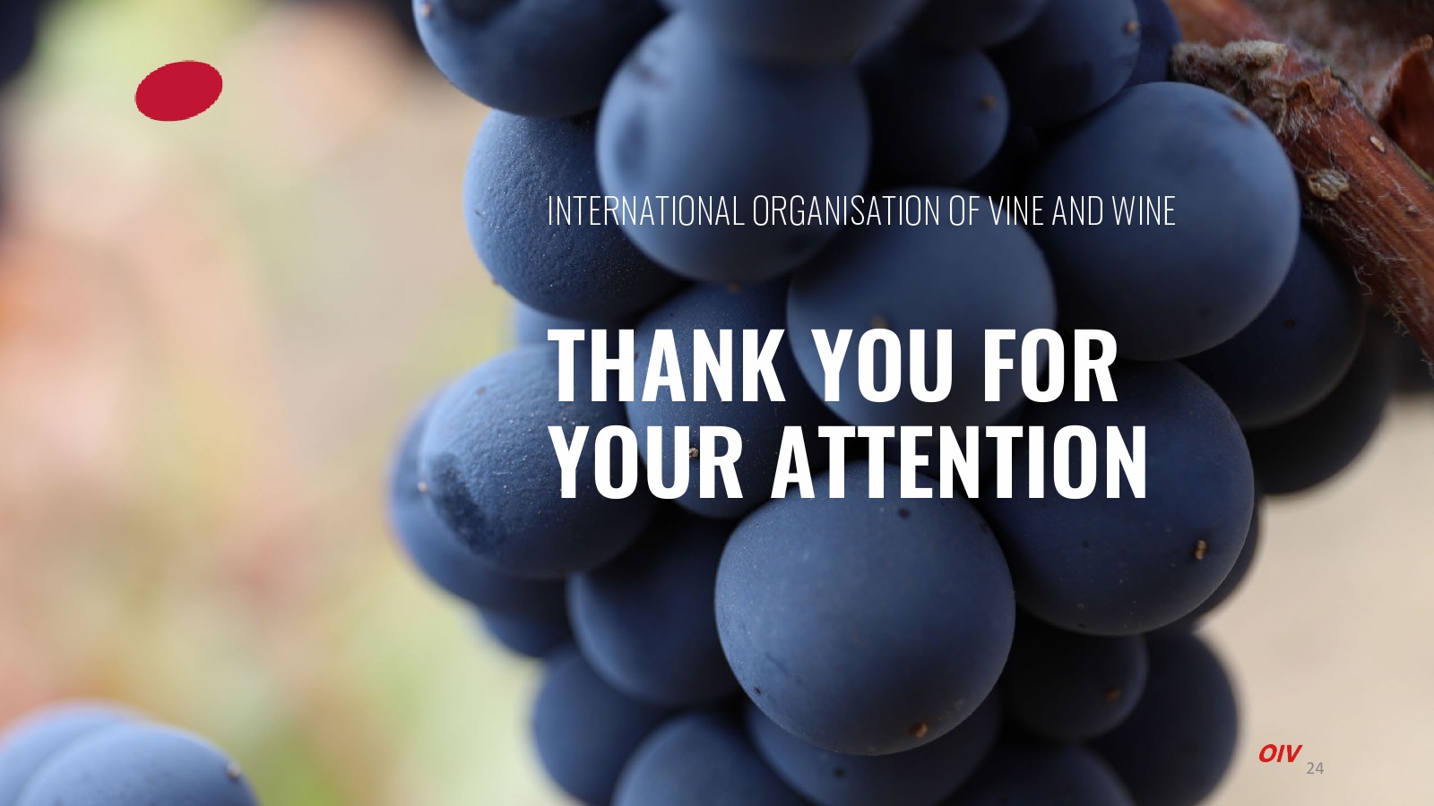 OIV：2023年全球葡萄酒行业报告|葡萄酒|葡萄|葡萄酒行业_新浪科技_新浪网